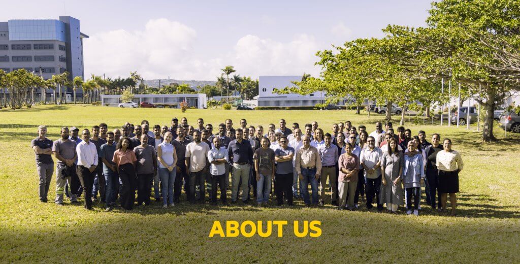 About Us | Solar Experts in Mauritius | Reneworld